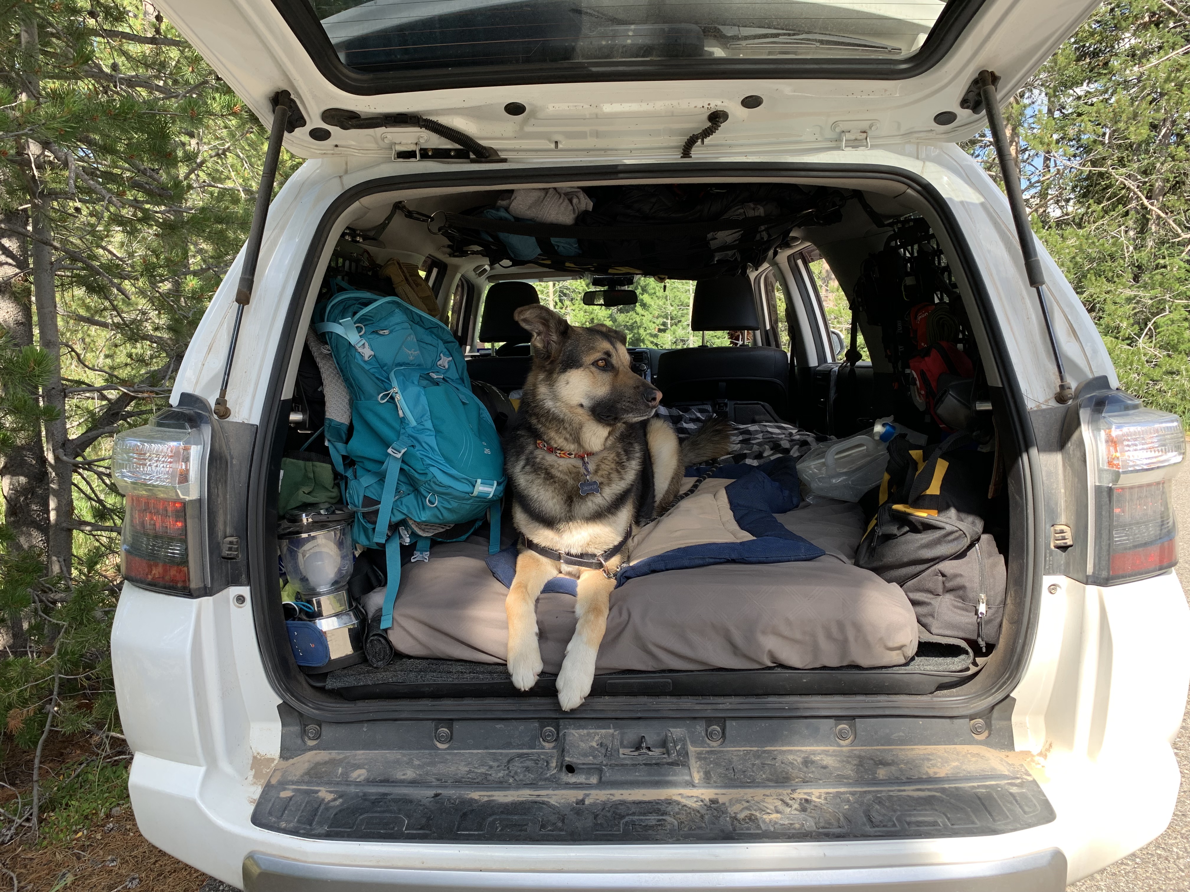 How We Organized Our Toyota 4Runner for Living on the Road – Tails of ...